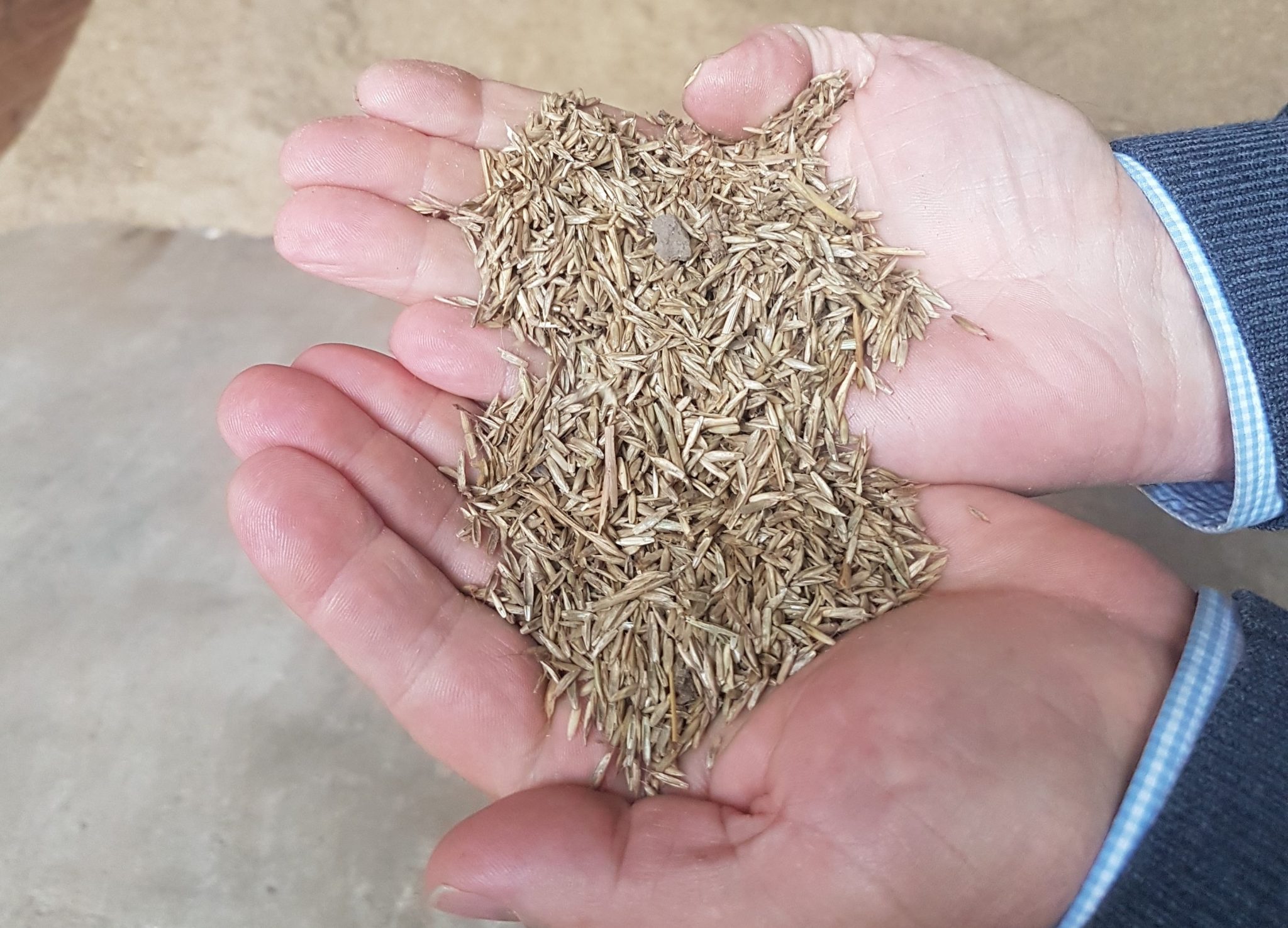 Sowing Methods / Farming procedures - Brasuda